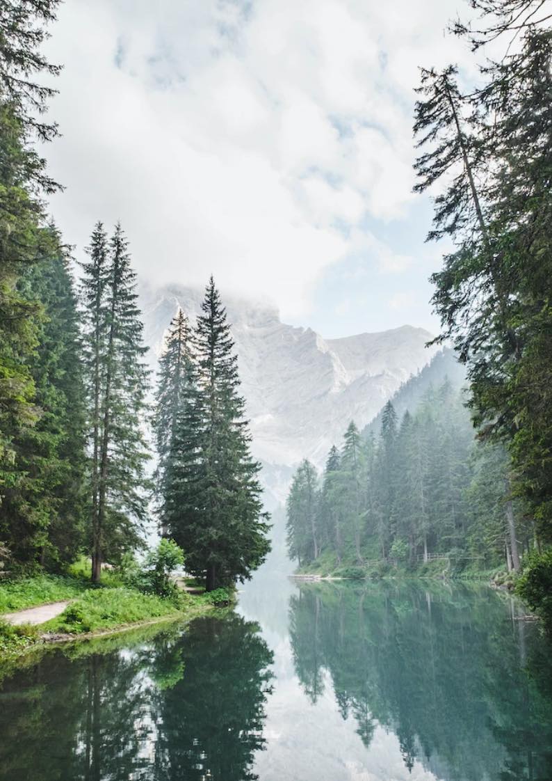 Ambaya Gold Health Products